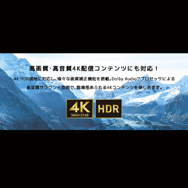 オリオン SAUD651 65V型4K対応液晶 チューナーレススマートテレビ |エディオン公式通販