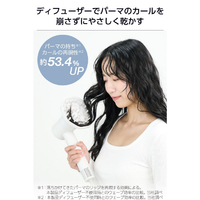 テスコム TD863A-W マイナスイオン ヘアドライヤー ホワイト